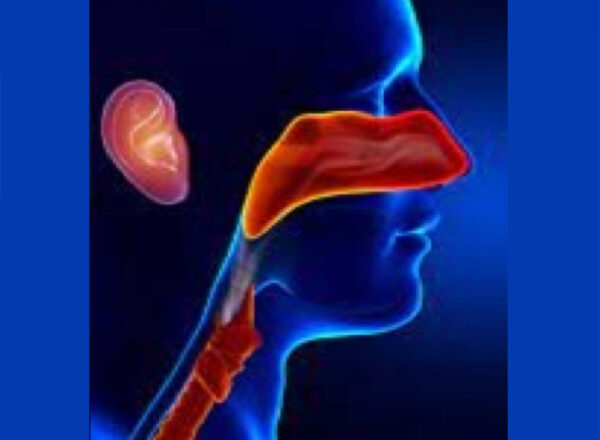 Case Studies | Quadrant Scientific